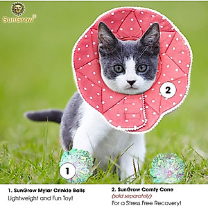 SunGrow Mylar Cat Crinkle Balls, 2", Shiny and Stress Buster Toy, Lightweight and Great for Use in Craft Projects, Toy Ball Suitable for Both Feline and Kids, Kitten Chew and Chase Balls for Exercise