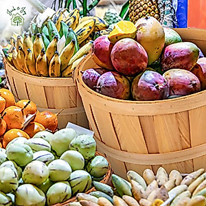 Jack & Joy Set of 2 Baskets for Produce – Thick Wood Slots and Reinforced Body, Display Fruits and Vegetables or Use in Home Garden, Fold Down Strap for Easy Carrying, Large 11" & Small 9"