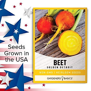 Beet Seeds for Planting Golden Detroit Heirloom Non-GMO Golden Beets Plant Seeds for Home Garden Vegetables Makes a Great Gift for Gardeners by Gardeners Basics