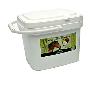 EQUI - DEX APPLE ELECTROLYTE 30lbs