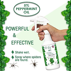 Minty Spider Repellent, Natural 5% Peppermint Oil Spray, Kills & Deters All Types of Spiders and Insects, Indoor and Outdoor Use, 128 fl oz Gallon
