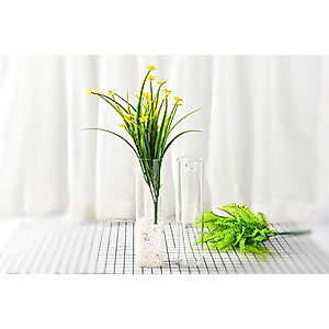 Kingbuy Wall Hanging Planter Glass Plant Propagation Station for Home Decor, Large Cylinder, 2 Pack