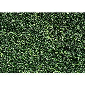 SJOLOON Green Leaves Backdrop Grass Backdrop Natural Green Lawn Party Photography Backdrop Birthday Newborn Baby Lover Wedding Photo Studio Props 10923 (8x6FT)
