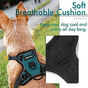 rabbitgoo Dog Harness, No-Pull Pet Harness with 2 Leash Clips, Adjustable Soft Padded Dog Vest, Reflective No-Choke Pet Oxford Vest with Easy Control Handle for Small Dogs, Blue Coral, XS