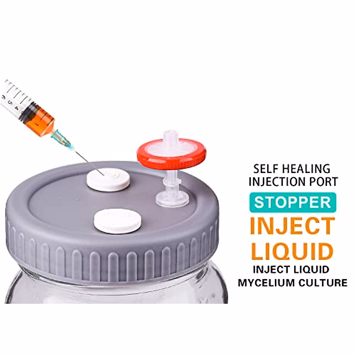 Eleganttime 8Pcs Wide Mouth Liquid Culture Lids,Cultivation Mason Jar Lid with 0.22um PTFE Syringe Filter & 20mm Self Healing Injection Ports For Mushroom(Grey)