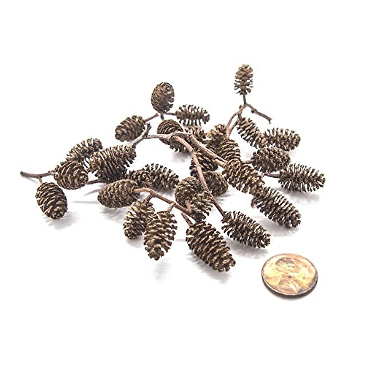 Aquatic Arts 50 Alder Cones | Shrimp Aquarium Decorations |pH Reducer & Buffering Water Treatment |Freshwater Fish Tank Supplies/Accessories