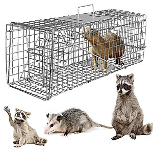 KOCASO Live Animal Trap Humane Cat Trap Catch for Small Raccoons Beavers Groundhogs Foxes Armadillos Cats, Rabbits, Raccoons, Skunks, Possums/Catch and Release