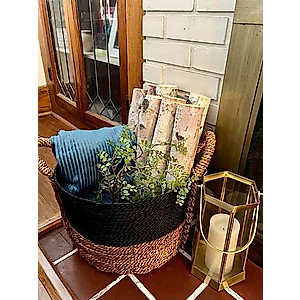 Wilson 15.5"-17.5" Decorative White Birch Logs, Natural Bark Wood Home Décor - 1.5"-3" Dia. (Set of 8)