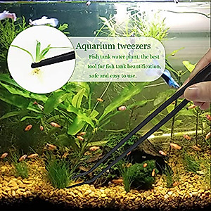 2 Pcs Feeding Tongs, Aquarium Tweezers Stainless Steel Straight and Curved Tweezers Set 27cm/10.6 inches Aquascaping Tools for Hold Worms, Reptiles, Lizards, Bearded Dragon (Black)