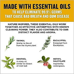 Listerine Antiseptic Mouth Wash Original Flavor Bottle, 1.5 L, 2 Piece