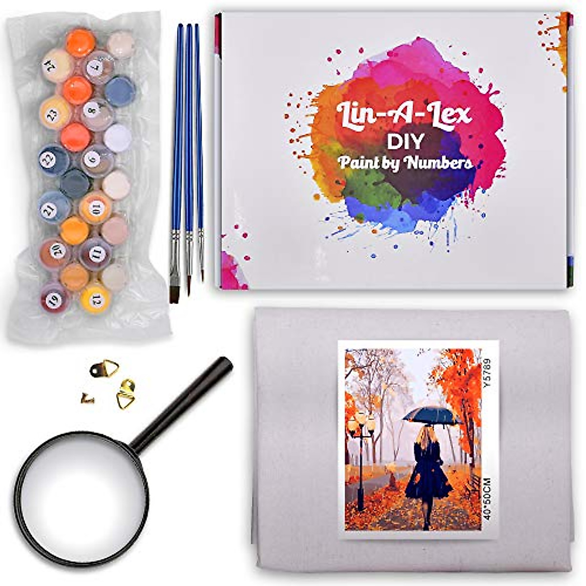 Lin-A-Lex DIY Paint by Numbers for Adults and Kids, Autumn Landscape - Rainy Day, Beginner Friendly Painting Kit with Soft Brushes, Acrylic Pigment Oils, Arts and Craft for Home