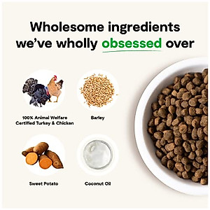 Open Farm Ancient Grains Dry Dog Food, Humanely Raised Meat Recipe with Wholesome Grains and No Artificial Flavors or Preservatives (Small Breed, 4 Pound (Pack of 1))