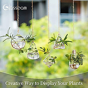 Hanging Glass Planter Plant Terrarium, 5Pcs Glasseam Propagation Stations for Plants Modern Propogation Station Wall Vase Planters Hydroponic Vases for Air Plant Flowers Indoor Window Home Decor