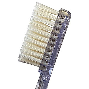 FUCHS Adult Natural Duo Plus Toothbrush, 10 Count