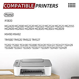 Printer Ink PG-245XL/ CL-246 XL for Canon Ink Cartridges 245 and 246 245XL 246XL, Used for Canon Pixma MG3022 TS3322 MG2522 TR4520 MX490 TS202 MX492 iP2820 TS302 MG2520 Printer (1 Black,1 Tri-Color)