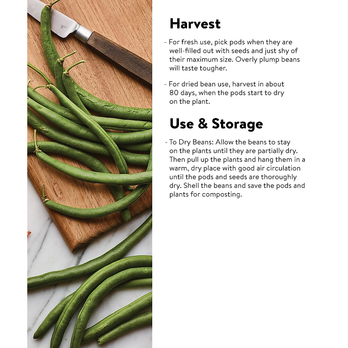 Burpee Yardlong Asparagus Pole Bean Seeds 1 ounces of seed