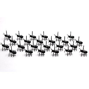 36 Pcs Fruit Forks Bistro Cocktail Forks Tasting Appetizer Forks Set Mini Cake Forks, Cute Ants Design (Ant)