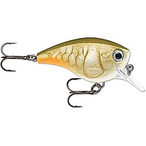 Rapala Balsa Xtreme Brat 06 BXB06BOC: Balsa Xtreme Brat 06 Bone Craw, 6