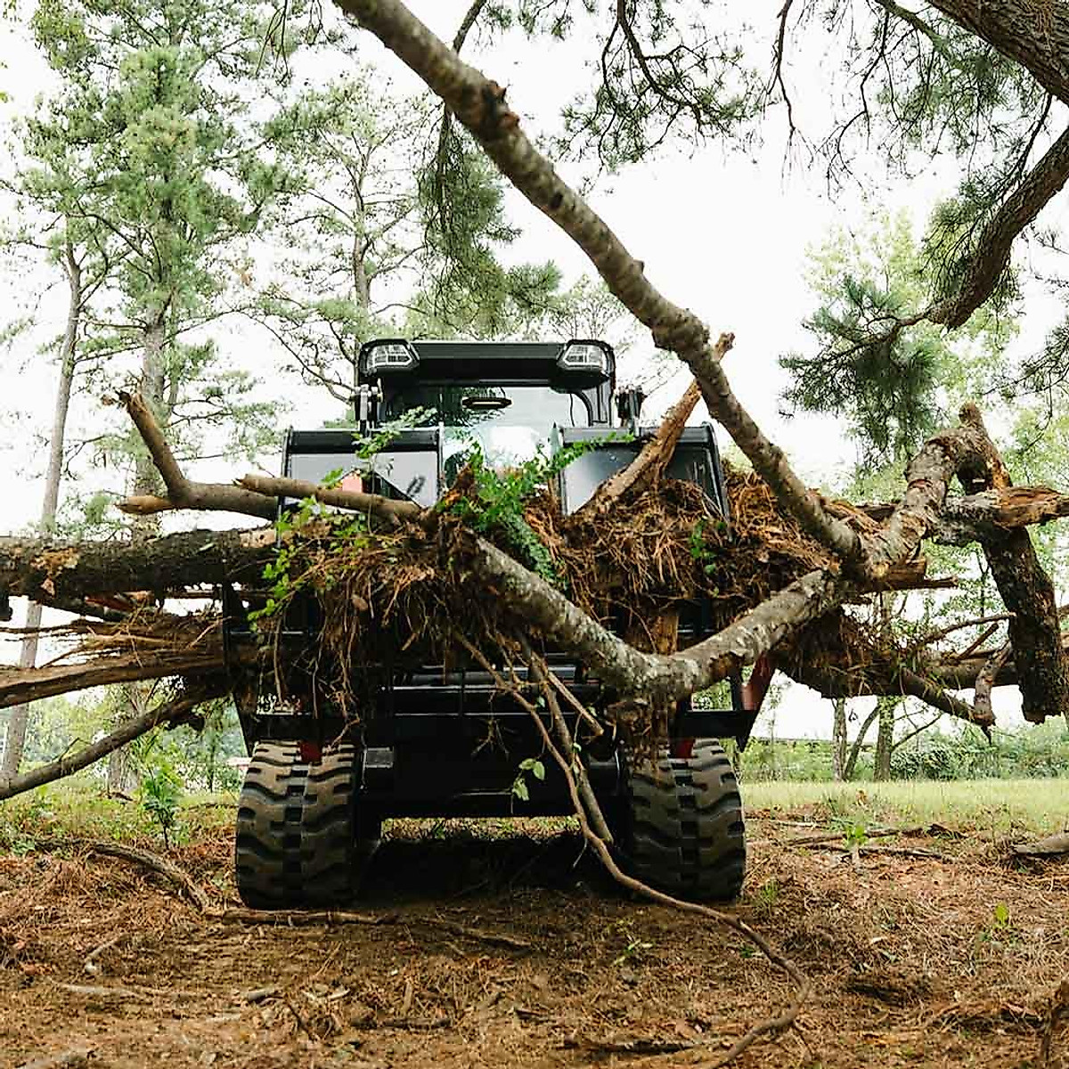 Titan Attachments 60" Economy Series Root Grapple Bucket Attachment, Universal SSQA Connection, Twin 3,000 PSI Cylinder with Cylinder Guard, Back Stoppers, 3/8" Thick Steel Frame