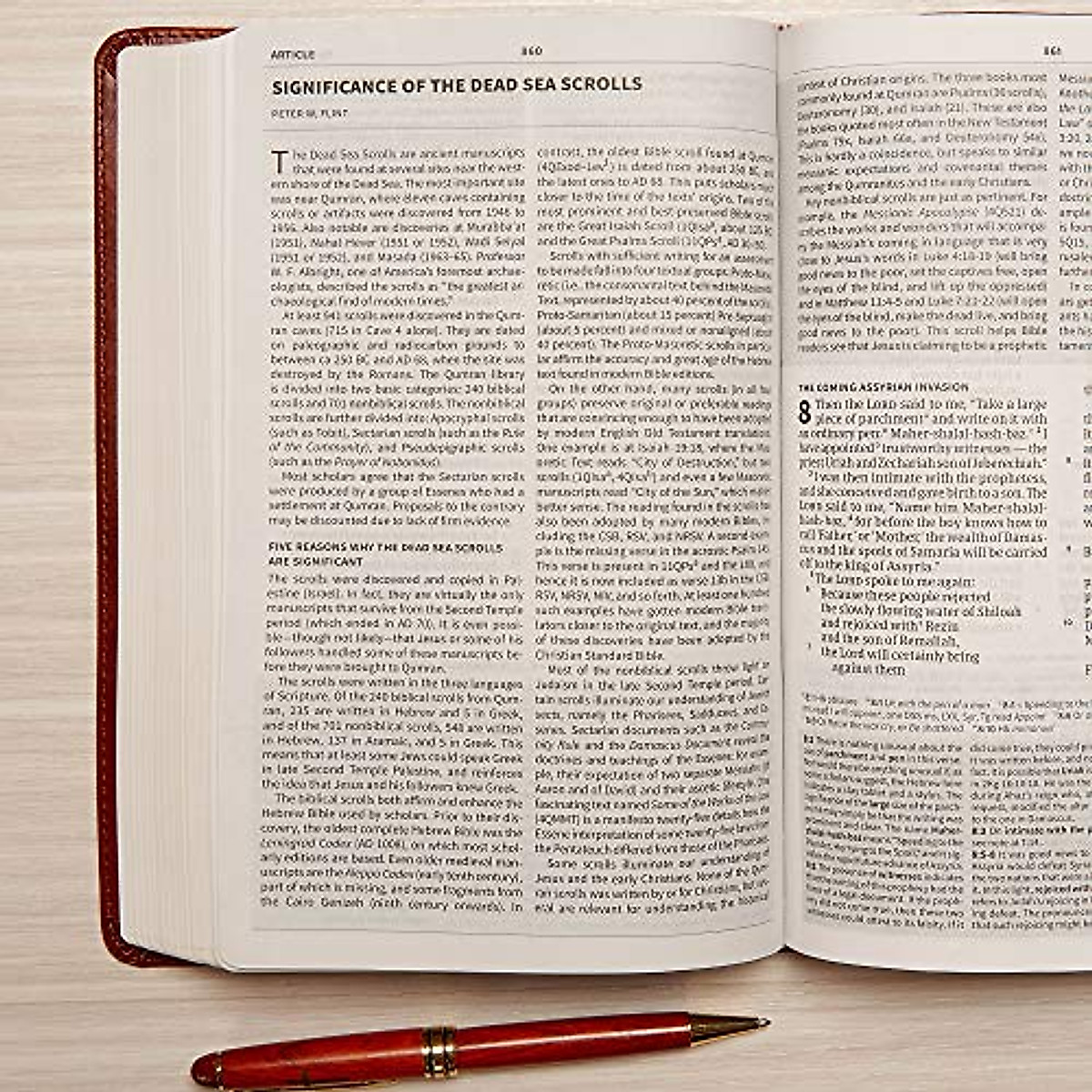 CSB Everyday Study Bible, British Tan LeatherTouch, Black Letter, Study Notes, Illustrations, Aricles, Easy-to-Carry, Easy-to-Read Bible Serif Type
