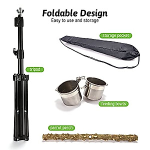 Adjustable Height Bird Perch Stand 43 INCH Parrot Training Perches Metal Bird Play Stand with Feeding Bowls for Small Birds Indoor and Outdoor