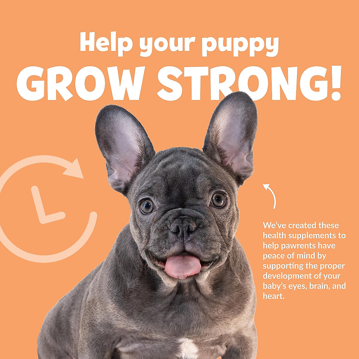 Snuggle Puppy Puppy Bites Grow Strong Supplement - Dog Soft Chews for Overall Health - Omega 3 Supplement for Dog Health - Fish Oil Chews for Dogs - 60 Soft Chews