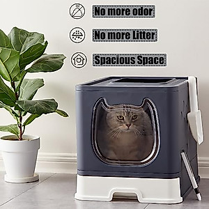 Foldable Cat Litter Box with Lid, Covered Kitten Litter Box with Kitty Litter Scoop and 2 in 1 Brush, Easy to Clean Litter Pan, Enclosed Cats Litter Box