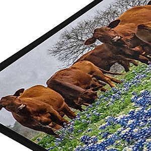 Cows Bluebonnets Spring Kitchen Rugs Cattle Animal Bath Mat for Bathroom Absorbent Non Skid Washable Standing Floor Desk Mat Runner Carpet for Home Office Hallway Sink Stove Laundry 39X20 inches