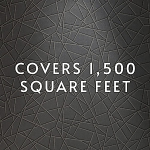 Roman 011305 PRO-838 Heavy Duty Wallpaper Adhesive, 5 gal, Clear