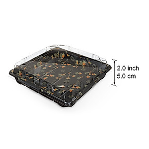 SEABOOM 12# Sushi Container Sushi Tray Sushi plate Samurai party tray 10.4 * 10.4-Inch Take Out tray With Clear Lid 200 sets 12#