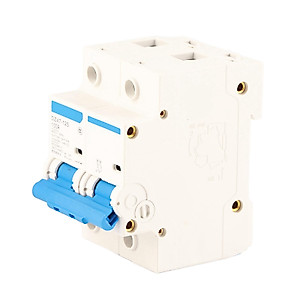 Leakage Protection Switch DZ47‑125 2P​ Current Miniature Circuit Breaker (100A)
