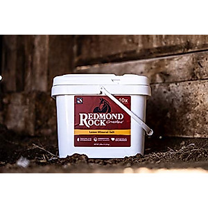 REDMOND Rock Crushed Loose Mineral Salt Electrolyte Supplement for Horses (25 LBS)