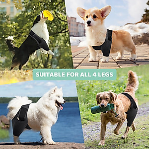 VANYONI Dog Knee Brace for Torn ACL Hind Leg Dog Leg Braces for Back Leg Front Torn for Hip Dysplasia, Dog Arthritis, Luxating Patella