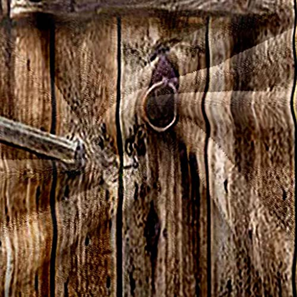 DALEM Soft Fleece Throw Blanket - Fluffy Microfiber Solid Blankets for Bed and Couch Double/Single Size - 59X79Inch Wooden Door Printed Flannel Blanket for Bed, Couch and Sofa