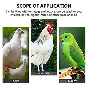 Mipcase 2 PCS Parrot Feeder Toy Bird Foraging Toy Parrot Forager Toy Bird Foraging Feeder Clear Pet Birds