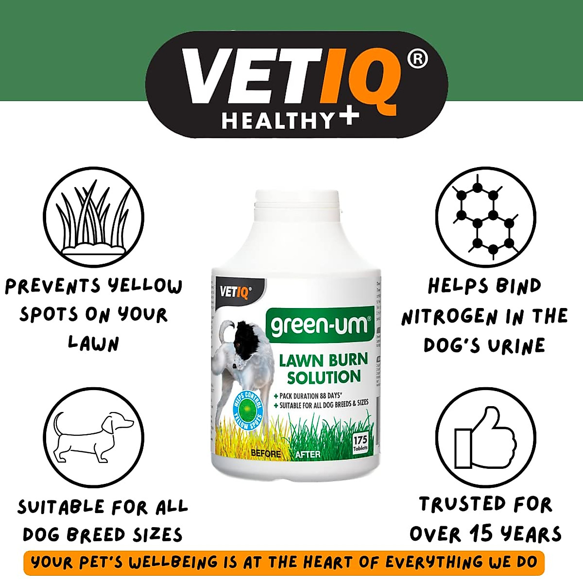 VetIQ Green-Um Dog Urine Neutraliser, 100 Tablets, Urine Neutraliser Lawn Burn Solution, Puppy Essentials Controls Nitrogen in Urine to Prevent Lawn Yellow Spots, Wee Neutraliser for All Breeds/Sizes