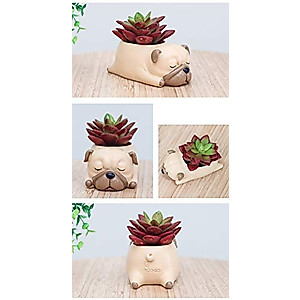 Youfui Home Decor Pot, Animal Succulent Planter Flowerpot for Home Office Desk Decoration (Sleep Pug)