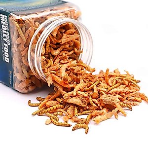 Aquatic Turtle Medley Food - Freeze Dried Shrimp & Mealworms for Aquatic Turtle, Beard Dragon and Other Reptiles & Amphibians