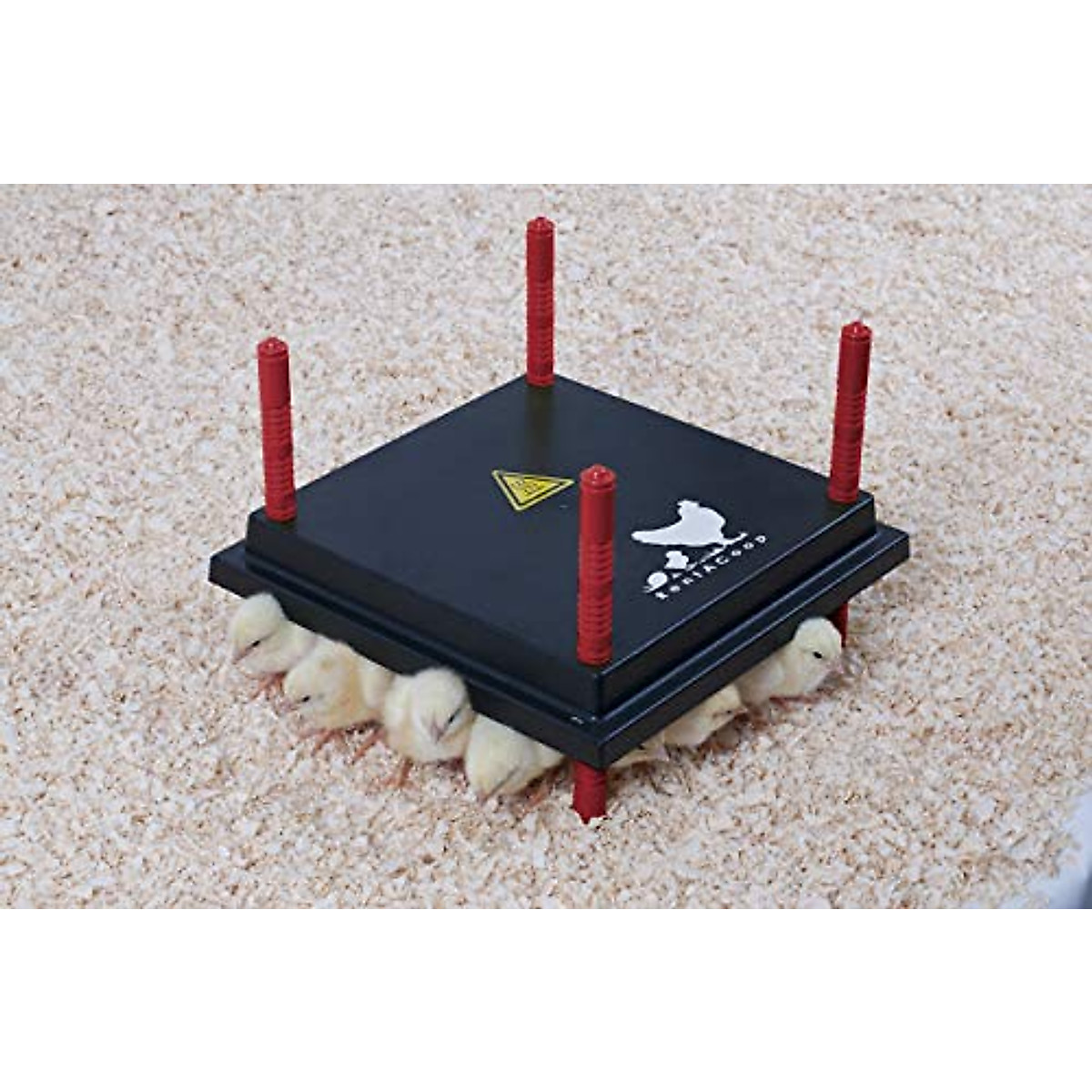 RentACoop Chick Brooder Heating Plate - Brooder Heating Plate Warms Up to 15 Chicks - Chick Heater with 25 Adjustable Heights and 15 Watts - Safer Alternative to Heating Lamps - 10" x 10"