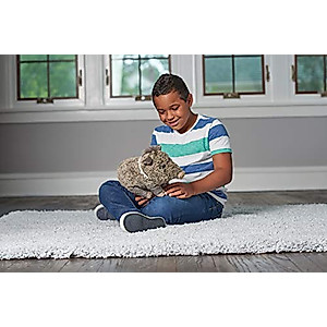 Wild Republic Javelina Plush, Stuffed Animal, Plush Toy, Gifts for Kids, Cuddlekins 12 Inches