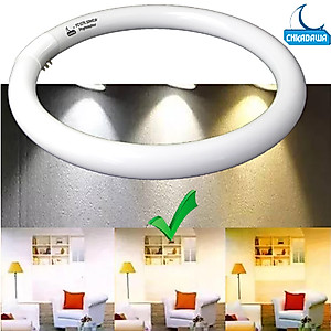 FC8T9/CW 22W and FC12T9/CW 32W Cool White Round Fluorescent Light Bulb Set, 8 inch T9 22 Watts & 12 inch 32 Watts Circular Bulbs Pack, Circline Kitchen and Bath Light Bulbs, CRI 80, 4100K, G10q Prong