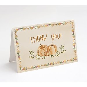 M Market On Mainstreet Pumpkin Patch Invitations & Thank You Cards, Including Envelopes, 25 Count, Made In The U.S.A. (Thank You Cards)