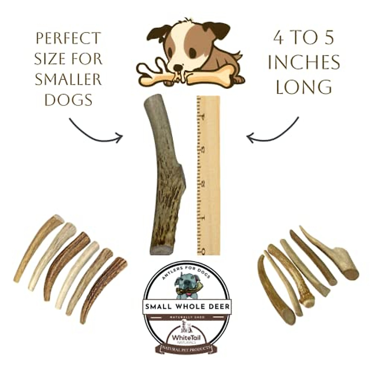 WhiteTail Naturals - Antlers for Small Dogs (6 Pack) Deer Antler Dog Chew Bones for Small to Medium Aggressive Chewers - Long Lasting Horn Chew Toys - Naturally Shed