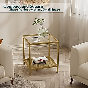 SAYGOER Glass Side Table Small Gold End Table for Small Spaces 2-Tier Square Night Stand with Storage Modern Bed Side Table with Gold Frame for Bedroom Living Room, Easy Assembly