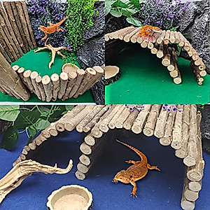 Hamiledyi Large Reptile Hideout Wood Bridge Ladder Hiding Hut Bearded Dragon Hammock Lizards Habitat Decor Climbing Accessories Tortoise Hide Cave Toy for Gecko Snake Chameleon Gecko Iguana