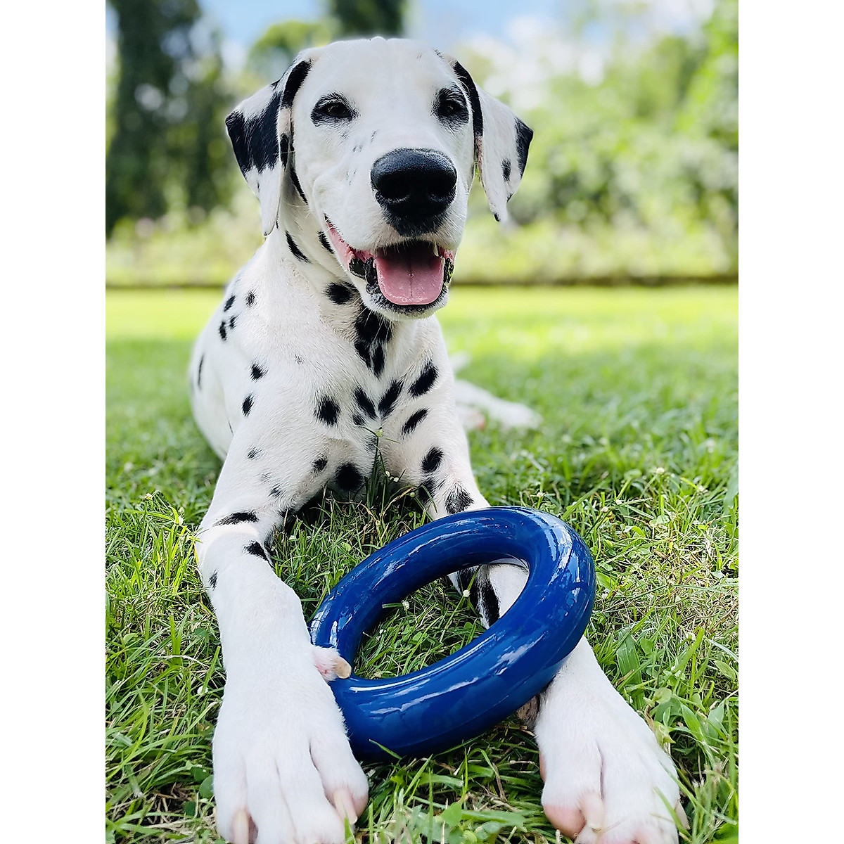 Tuff Pupper SuperChewy Tough Dog Ring Toy Strong Natural Rubber | Dog Chew Toy for Aggressive Chewers | Durable Tug Toy | Strong Dog Ring Toy | Large Breed Tested