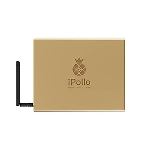 iPollo V1 Mini Asic Miner 300MH/s Crypto Miner iPollo Mining Machine with Power Supply