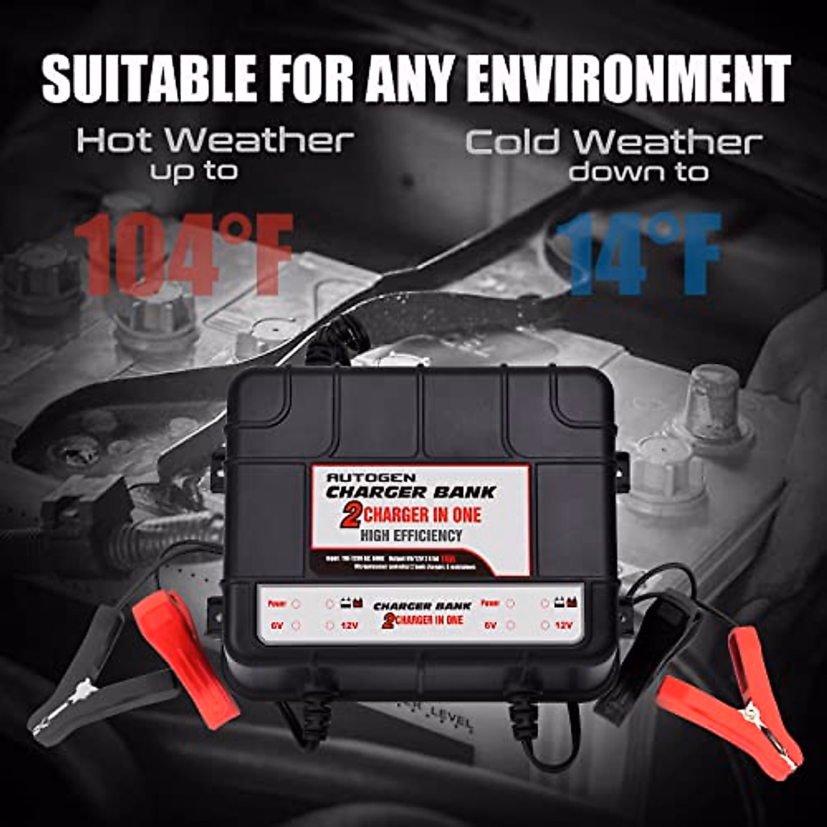 AUTOGEN 2-Bank Marine Battery Charger, 10-Amp (5-Amp Per Bank) Dual Battery Trickle Charger Maintainer, 6V & 12V Onboard Battery Charger and Battery Maintainer