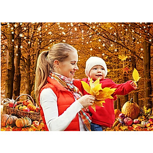 CHAIYA 7x5ft Fall Photography Backdrop Autumn Maple Forest Photography Backdrop Thanksgiving Background Pumpkin Decoration Party Backdrops Thanksgiving Backdrops Fall Photo Backdrops CY-238