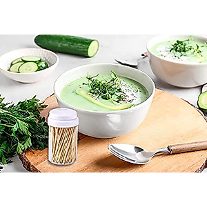 DecorRack 2 Pack Toothpick Dispensers with 600 Natural Bamboo Toothpicks, Plastic Holder (Pack of 2)